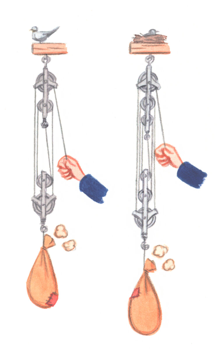 Mit Einstein im Fahrstuhl - Thilo Krapp